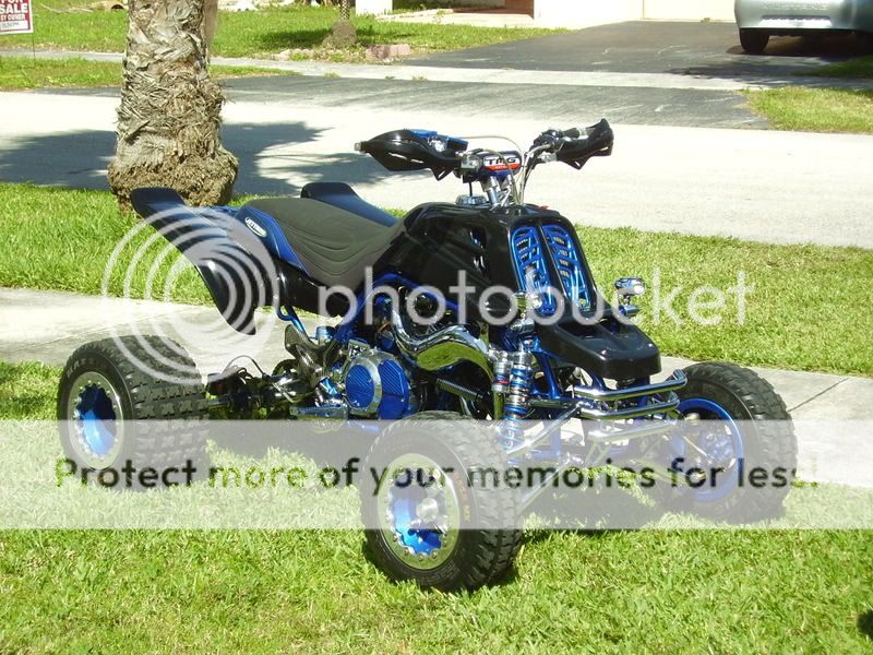 Custom395Trinity MX Banshee Photo by gsbanshee | Photobucket